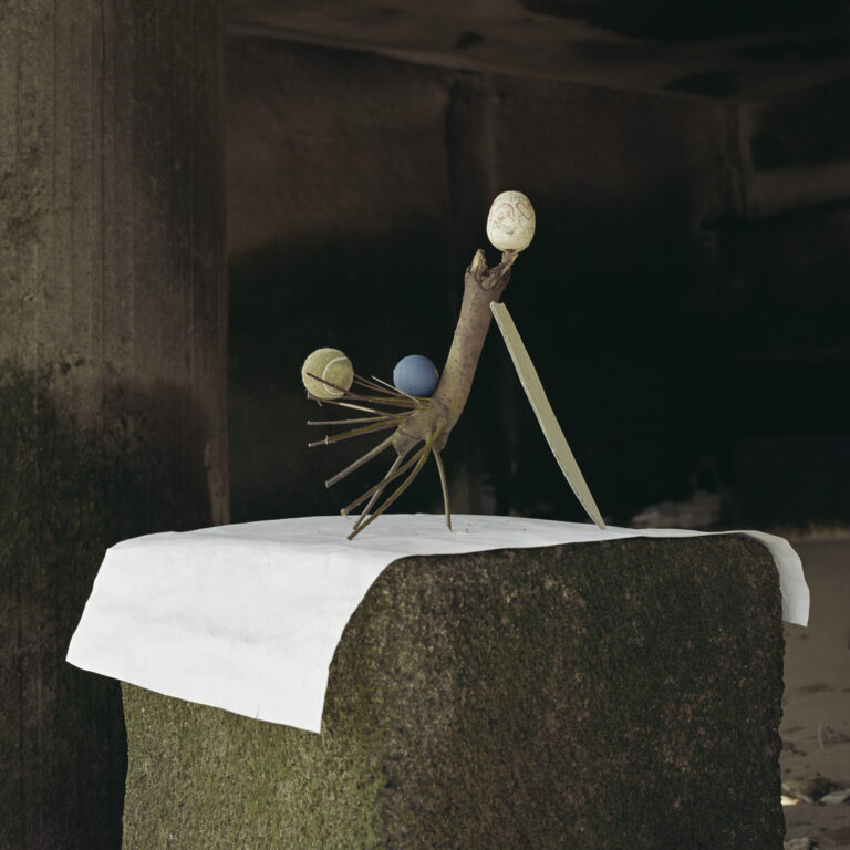 Past Winners - Earth Partner