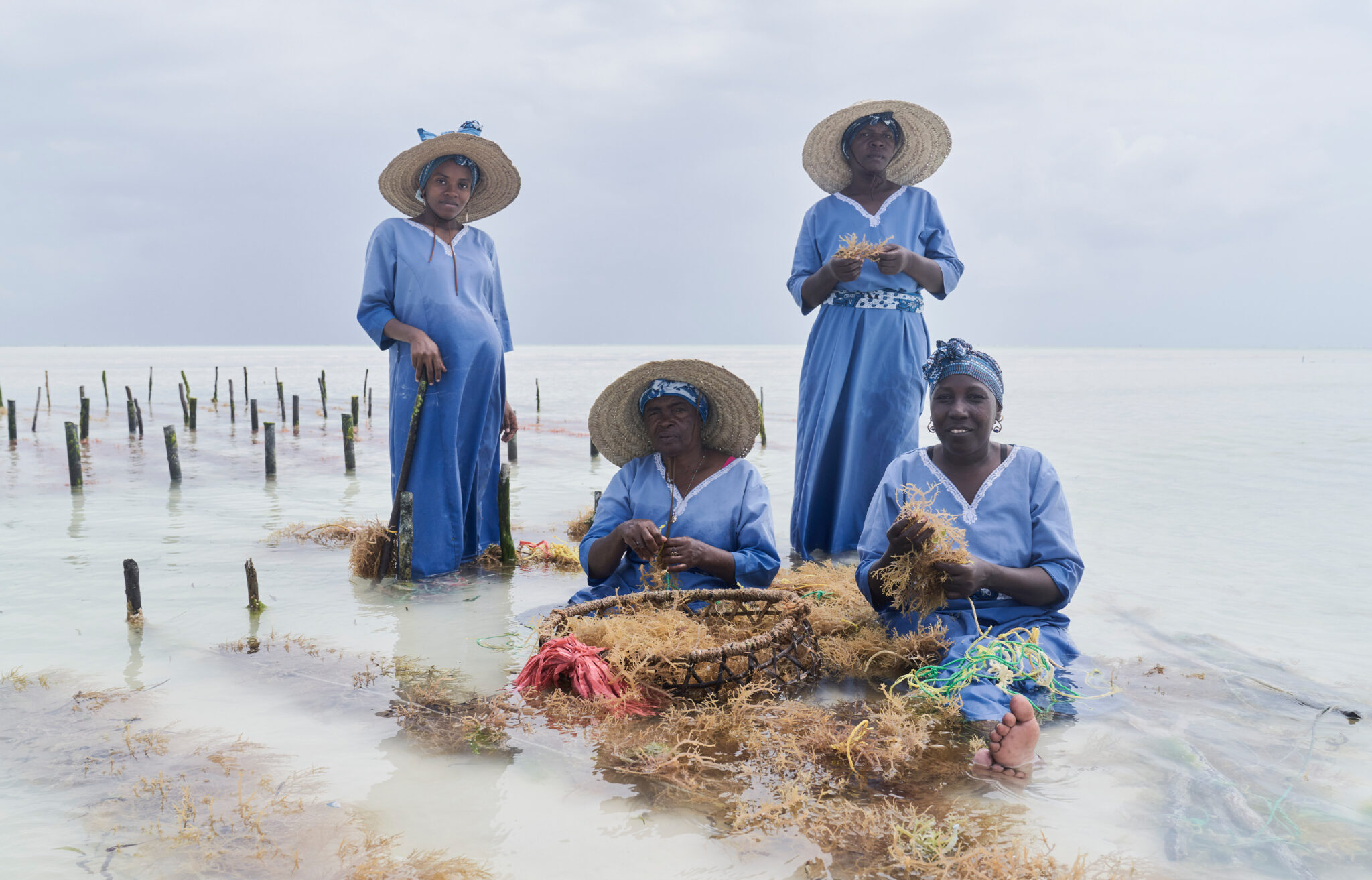 Past Winners - Earth Partner